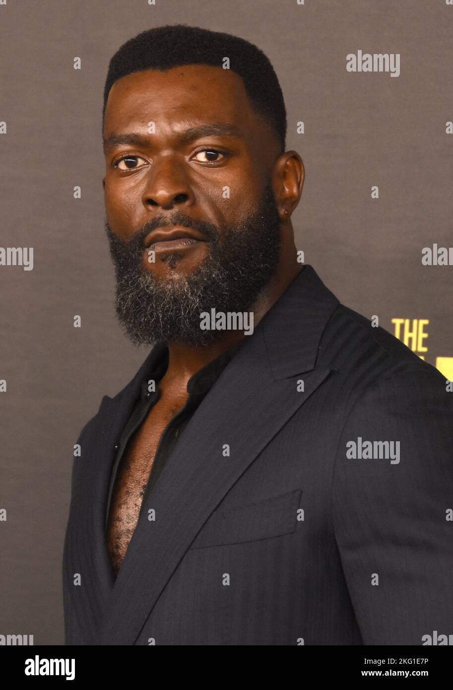 Los Angeles, California, USA. 20th Nov, 2022. Actor Michael James Shaw ...