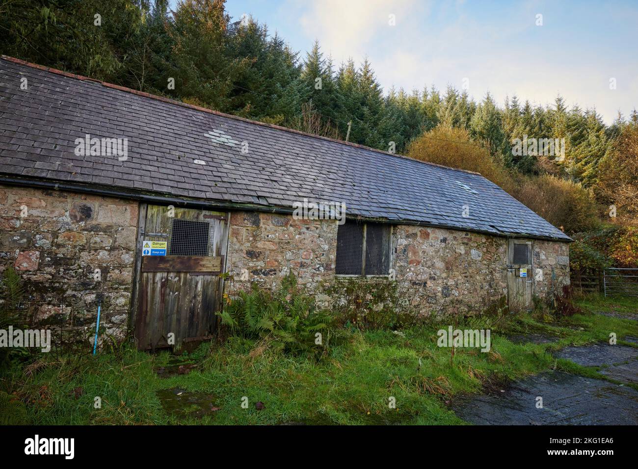 Abandoned Laughter Hole Farm, Bellever, Dartmoor Stock Photo - Alamy