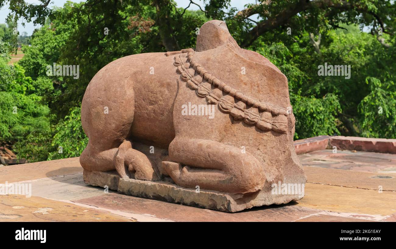 Broken Sculpture of Nandi in front of Lord Shiva Temple, Menal ...