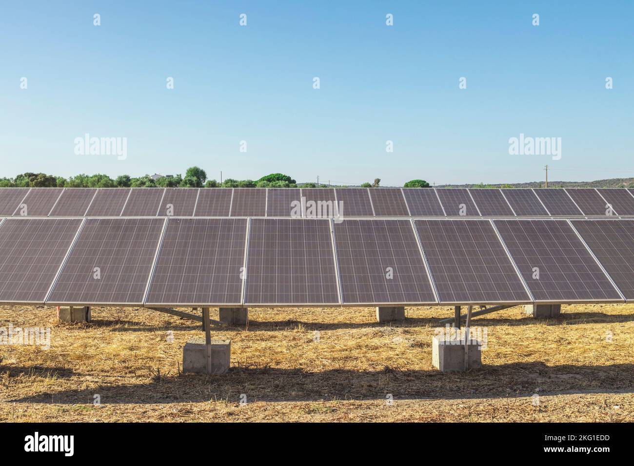 Photovoltaic panels in a field on a sunny day. Alternative source of ...