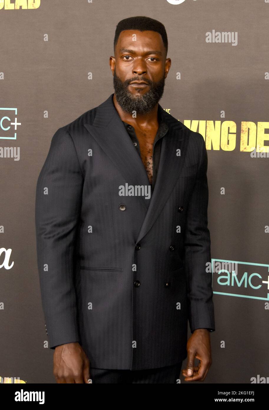 Los Angeles, California, USA. 20th Nov, 2022. Actor Michael James Shaw and guest attend The ...