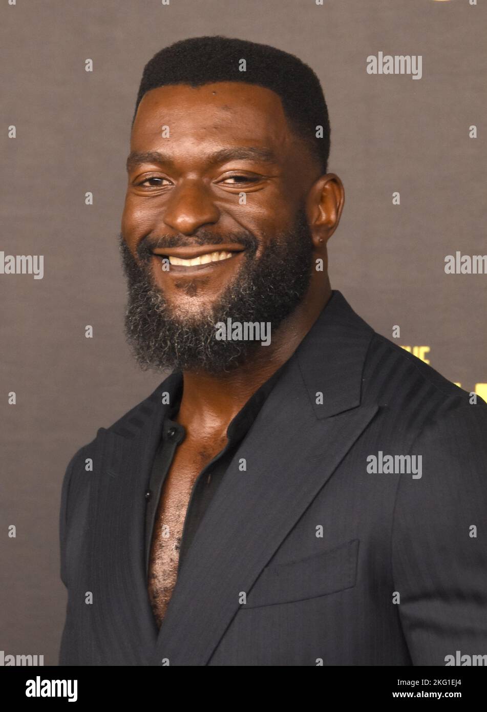 Los Angeles, California, USA. 20th Nov, 2022. Actor Michael James Shaw ...