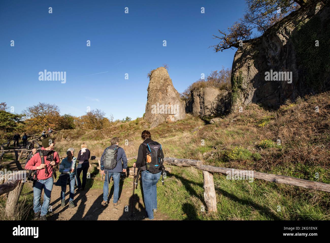 rock pillar of the Stenzelberg mountain in the Siebengebirge hill range ...
