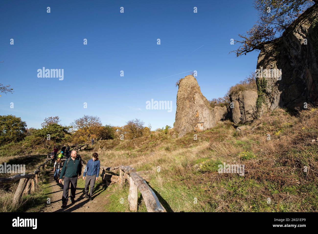 rock pillar of the Stenzelberg mountain in the Siebengebirge hill range ...