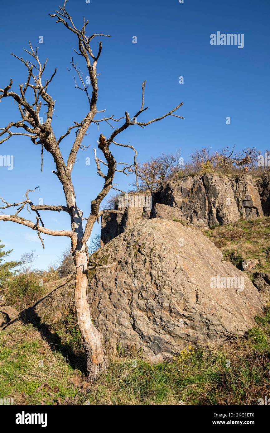 rock wall of the Stenzelberg mountain in the Siebengebirge hill range ...