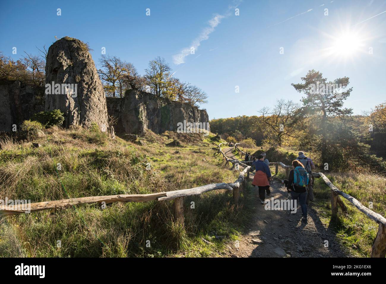 rock pillar of the Stenzelberg mountain in the Siebengebirge hill range ...