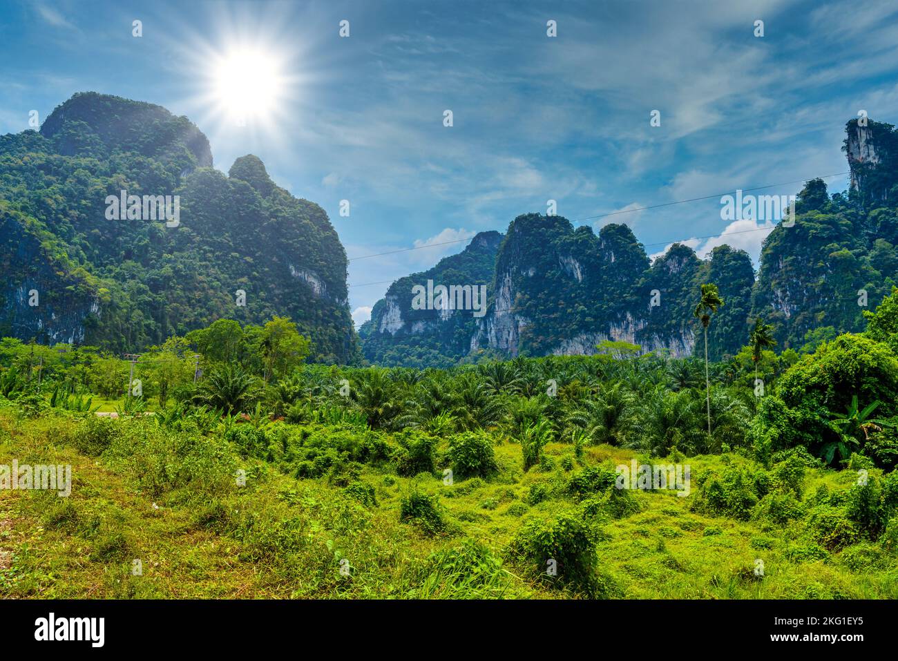 Landscape with palms and rocks cliffs, Khlong Phanom National Park ...