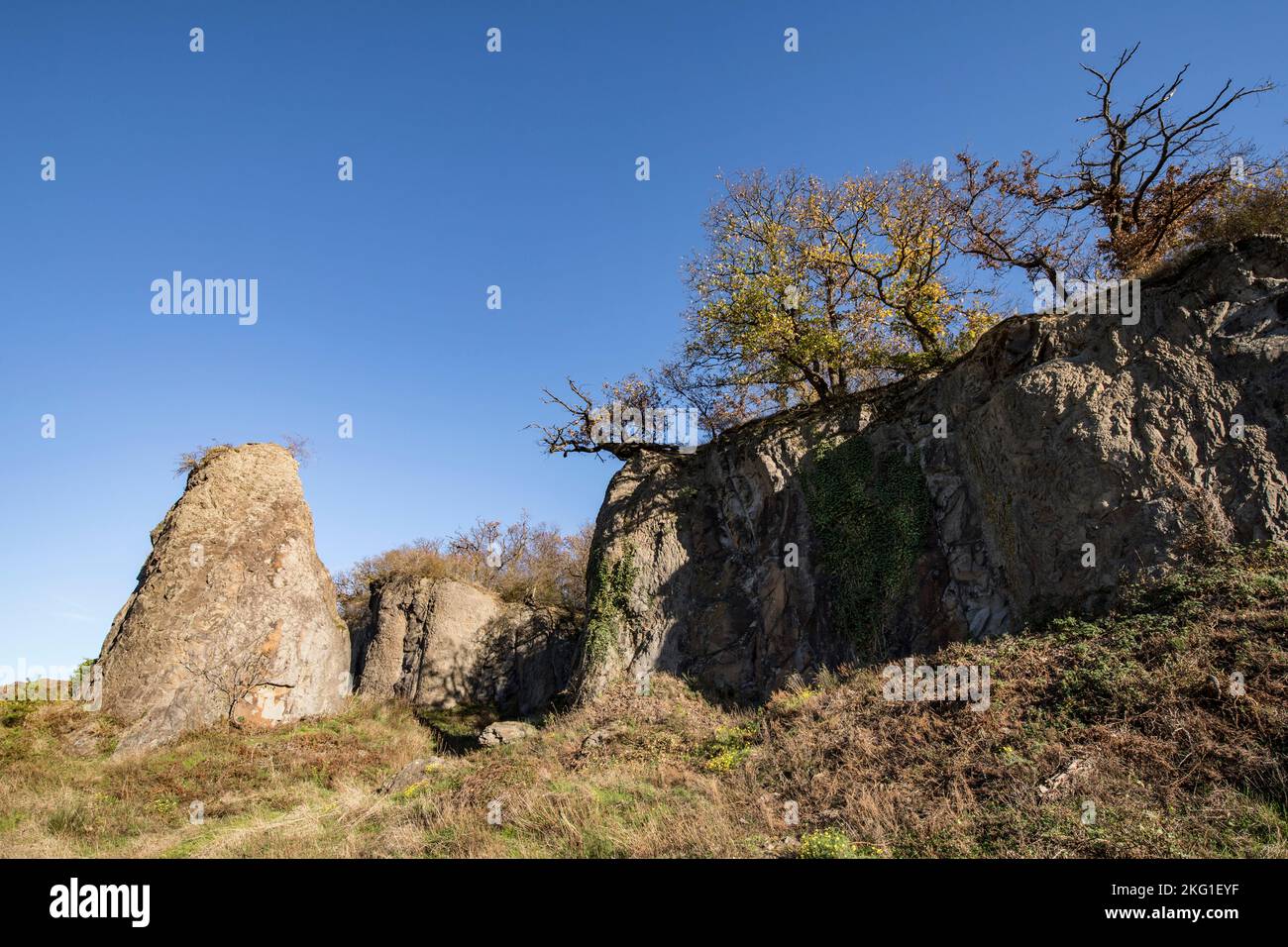 rock pillar of the Stenzelberg mountain in the Siebengebirge hill range ...
