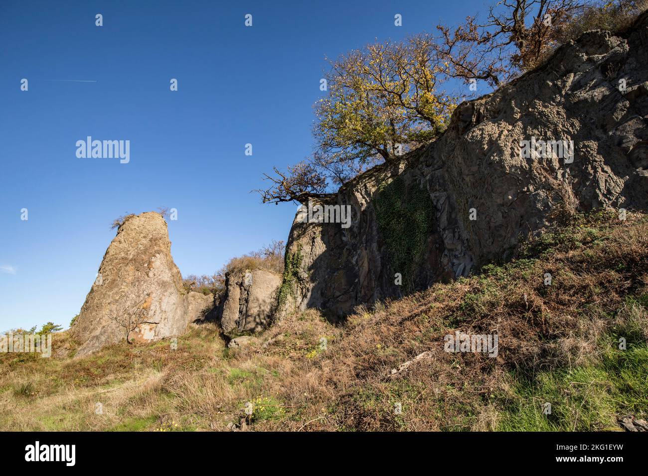 rock pillar of the Stenzelberg mountain in the Siebengebirge hill range ...