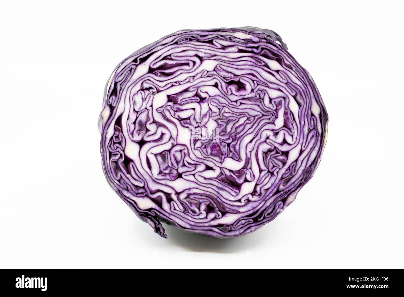 Cross section of a red cabbage on a white background Stock Photo - Alamy