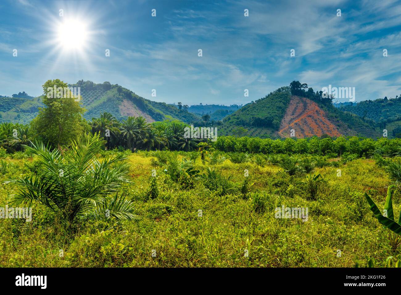 Kapong hi-res stock photography and images - Alamy