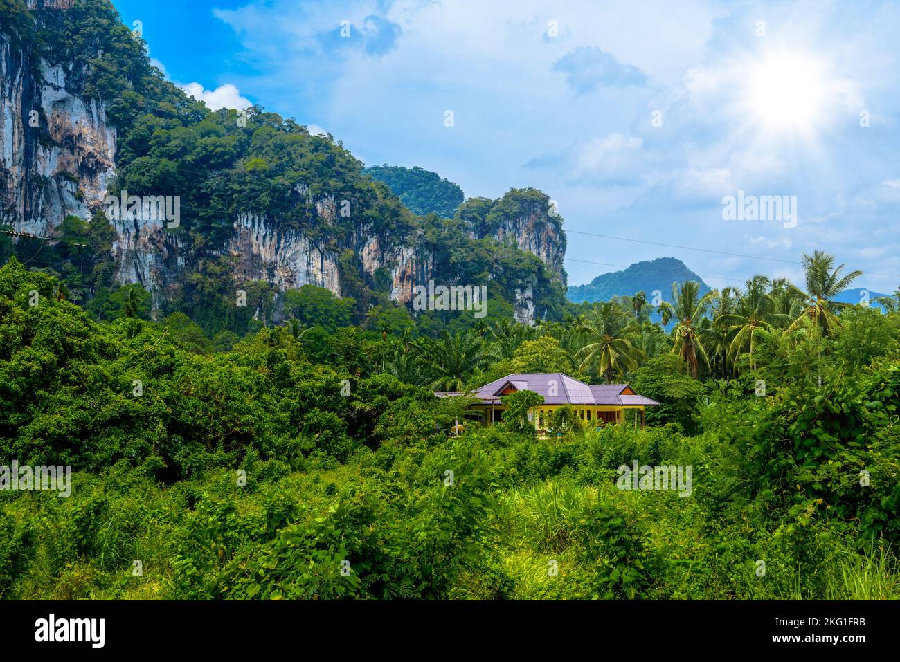 Landscape with palms and rocks cliffs, Khlong Phanom National Park ...