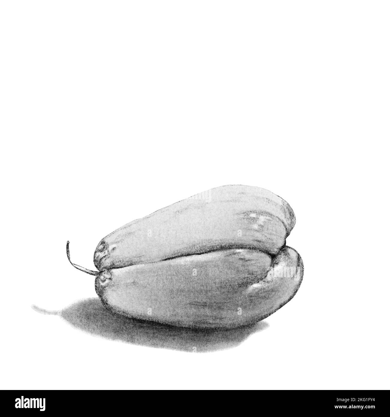 Chayote sketch hi-res stock photography and images - Alamy