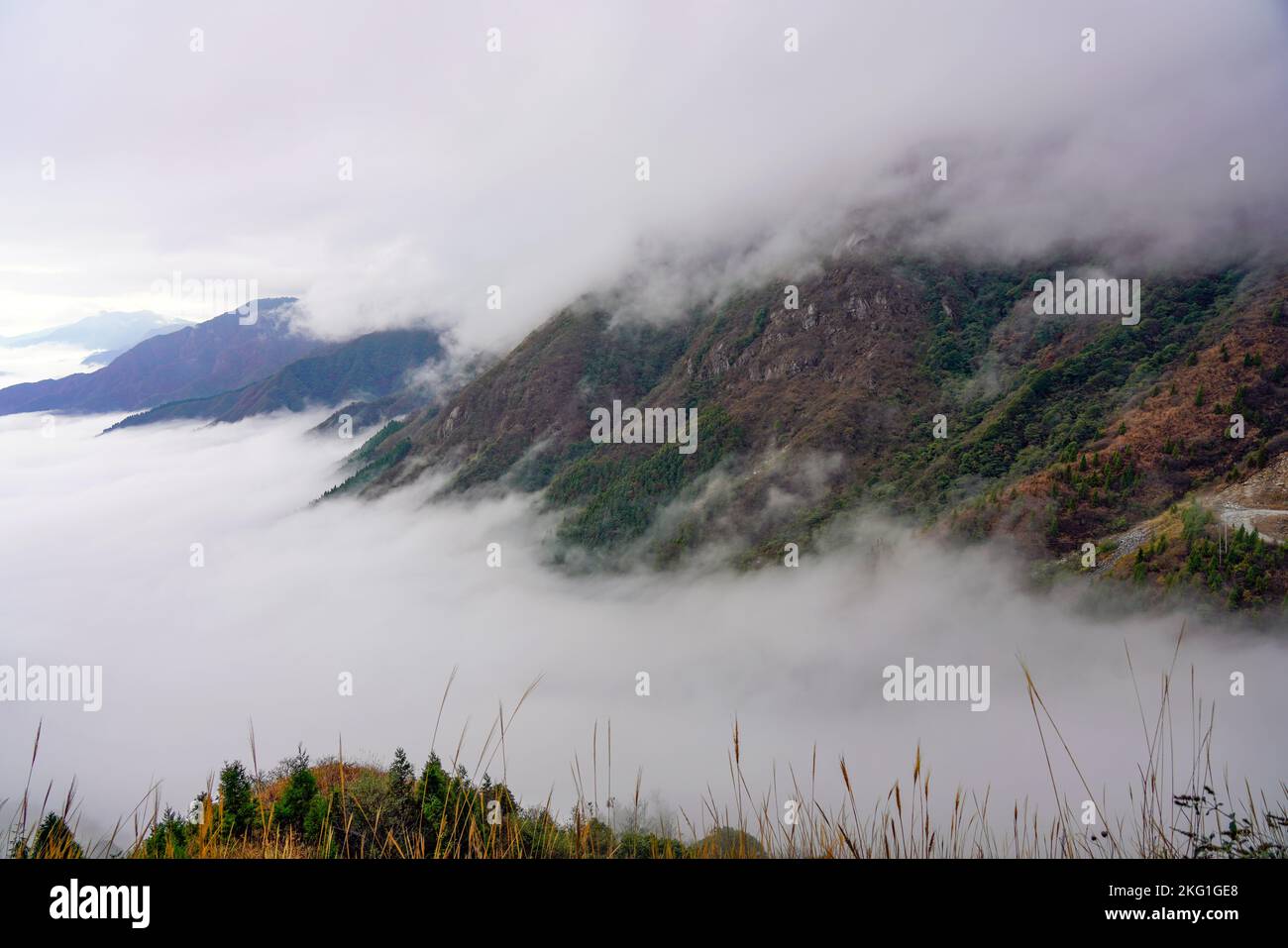 Aerial photos show the splendid views of Tianhu Naitonal Wetland Park ...