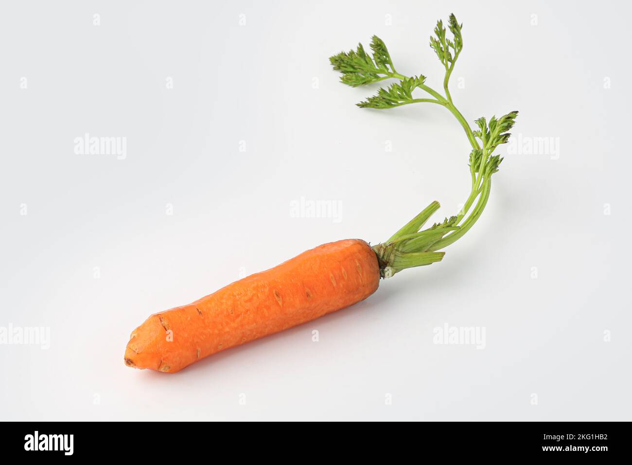 carrot, mini carrot, small carrot isolated on white background Stock ...