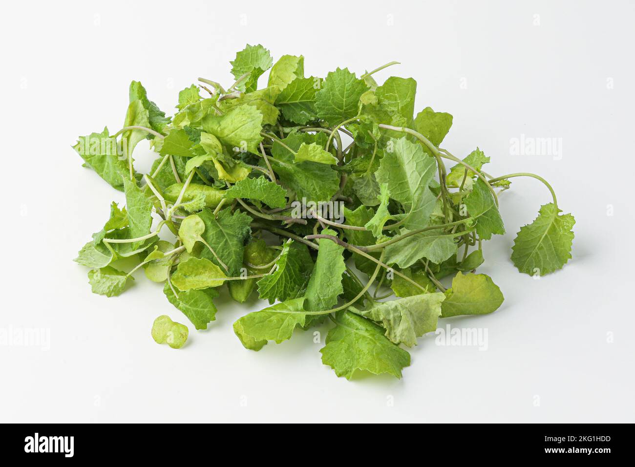baby kale, baby kail isolated on white background Stock Photo - Alamy