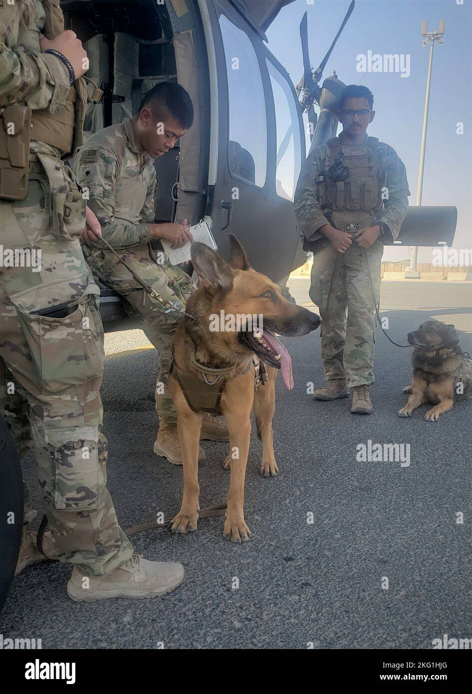U.S. Army Spc. Jason Lo, a UH-60M Black Hawk crew chief for Bravo ...