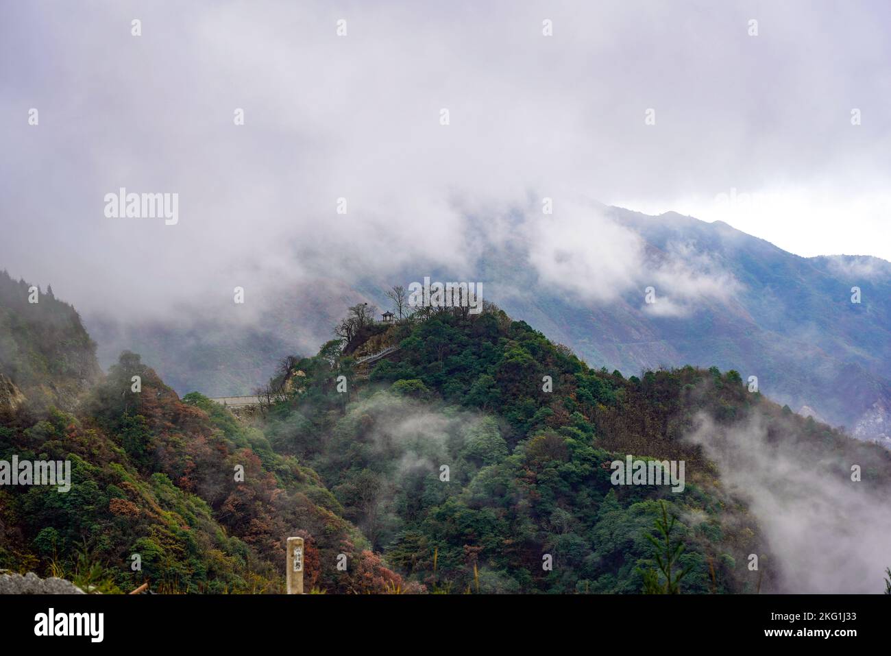Aerial photos show the splendid views of Tianhu Naitonal Wetland Park ...