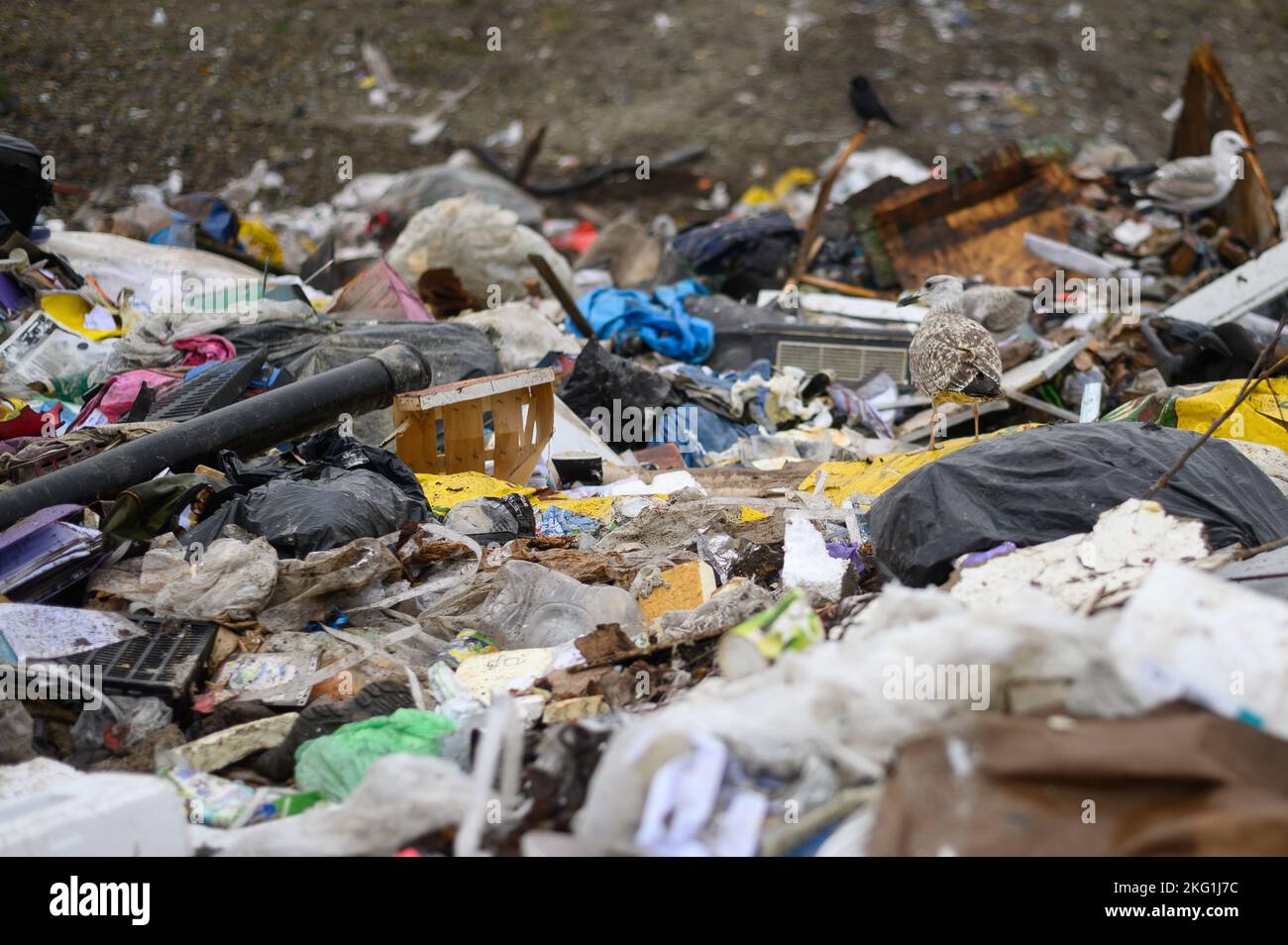 Garbage dump at waste processing site. Environment pollution concept ...