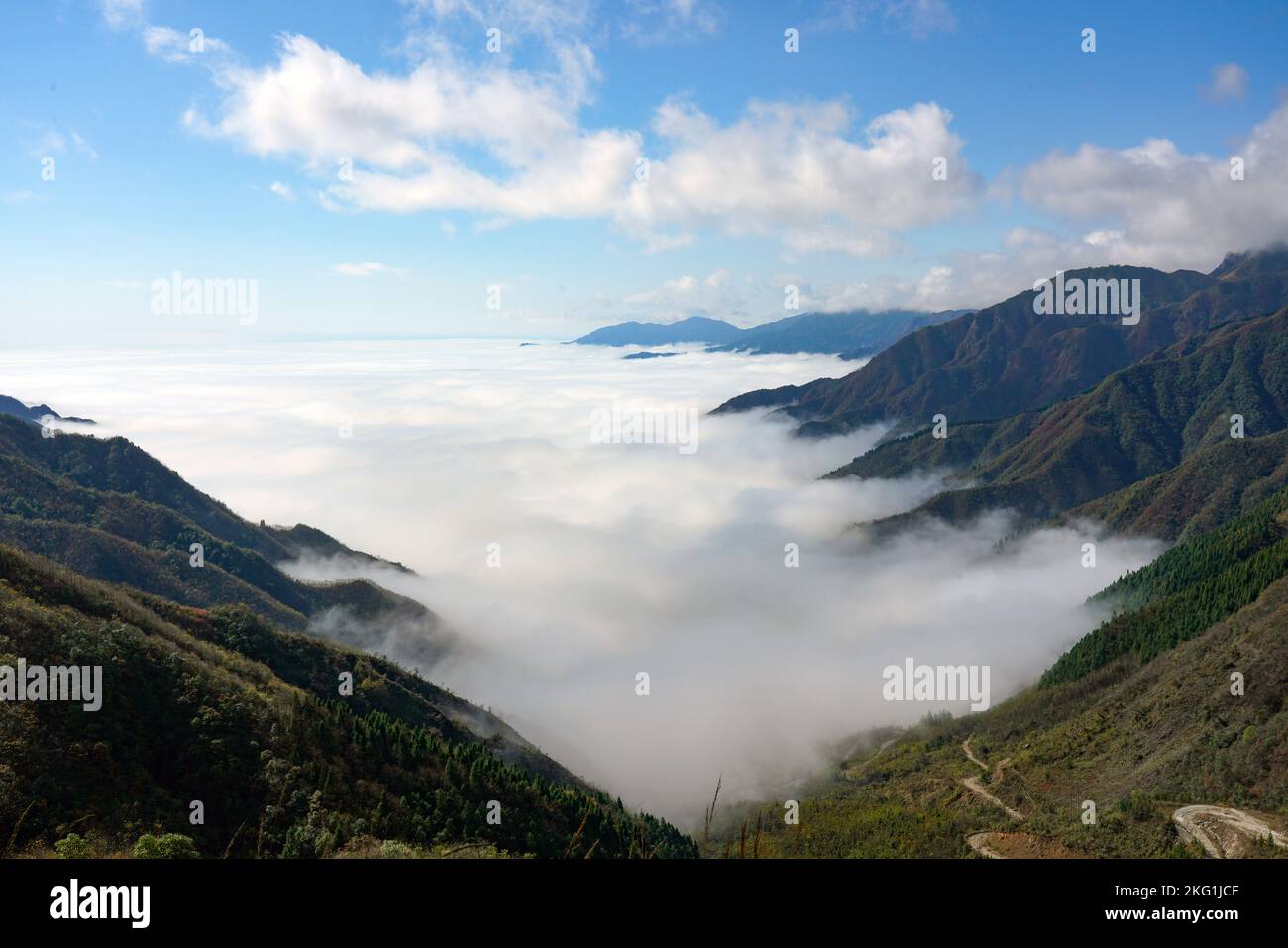 Aerial photos show the splendid views of Tianhu Naitonal Wetland Park ...