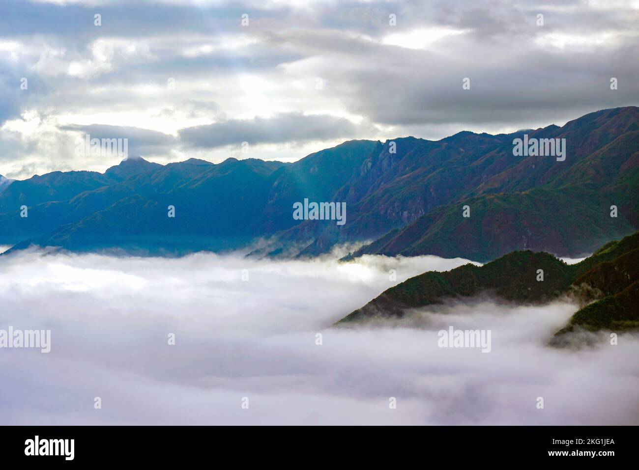 Aerial photos show the splendid views of Tianhu Naitonal Wetland Park ...