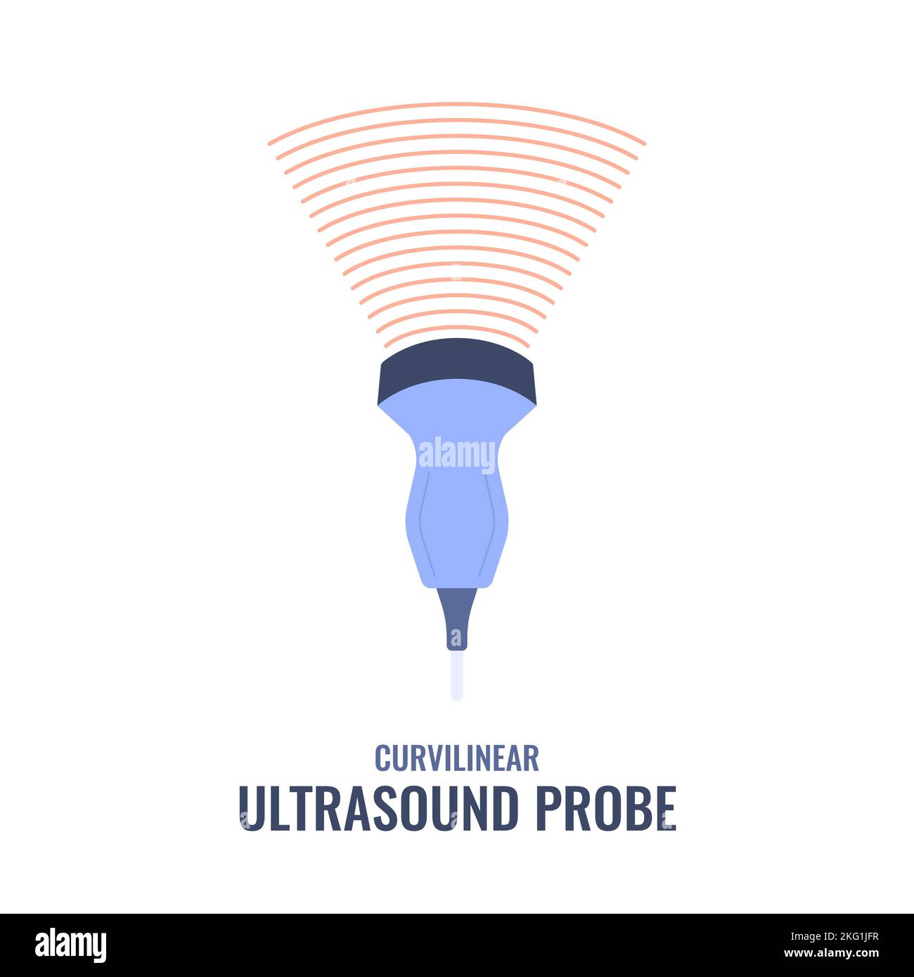 Curvilinear ultrasound probe transducer sonography diagram illustration Stock Vector Image & Art ...