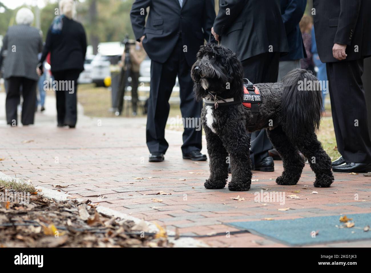 Retired Gen. Alfred M. Gray, the 29th Commandant of the Marine Corps ...
