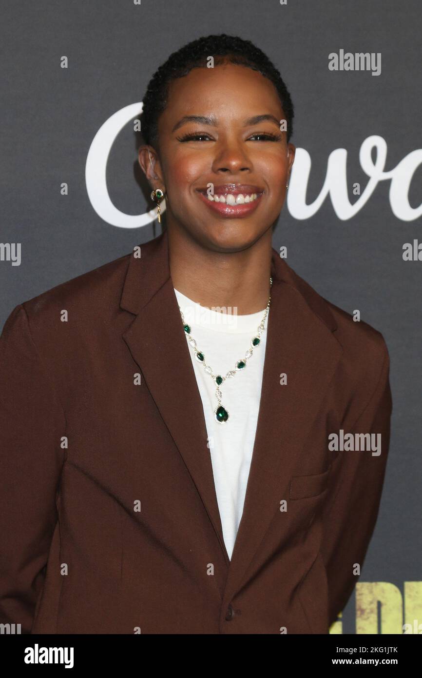 Los Angeles, USA. 20th Nov, 2022. LOS ANGELES - NOV 20: Angel Theory at ...