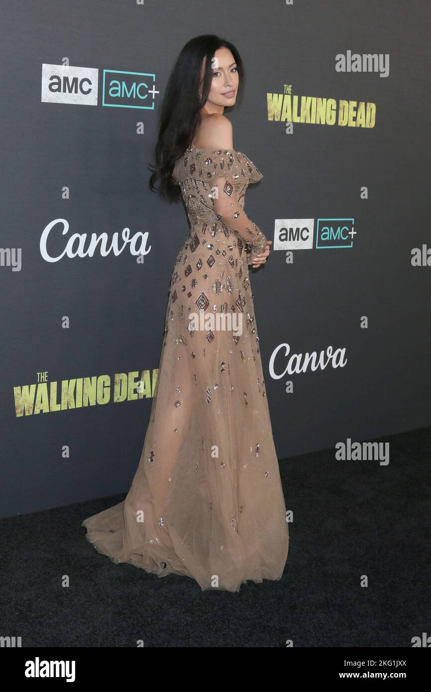 Los Angeles, USA. 20th Nov, 2022. LOS ANGELES - NOV 20: Christian ...