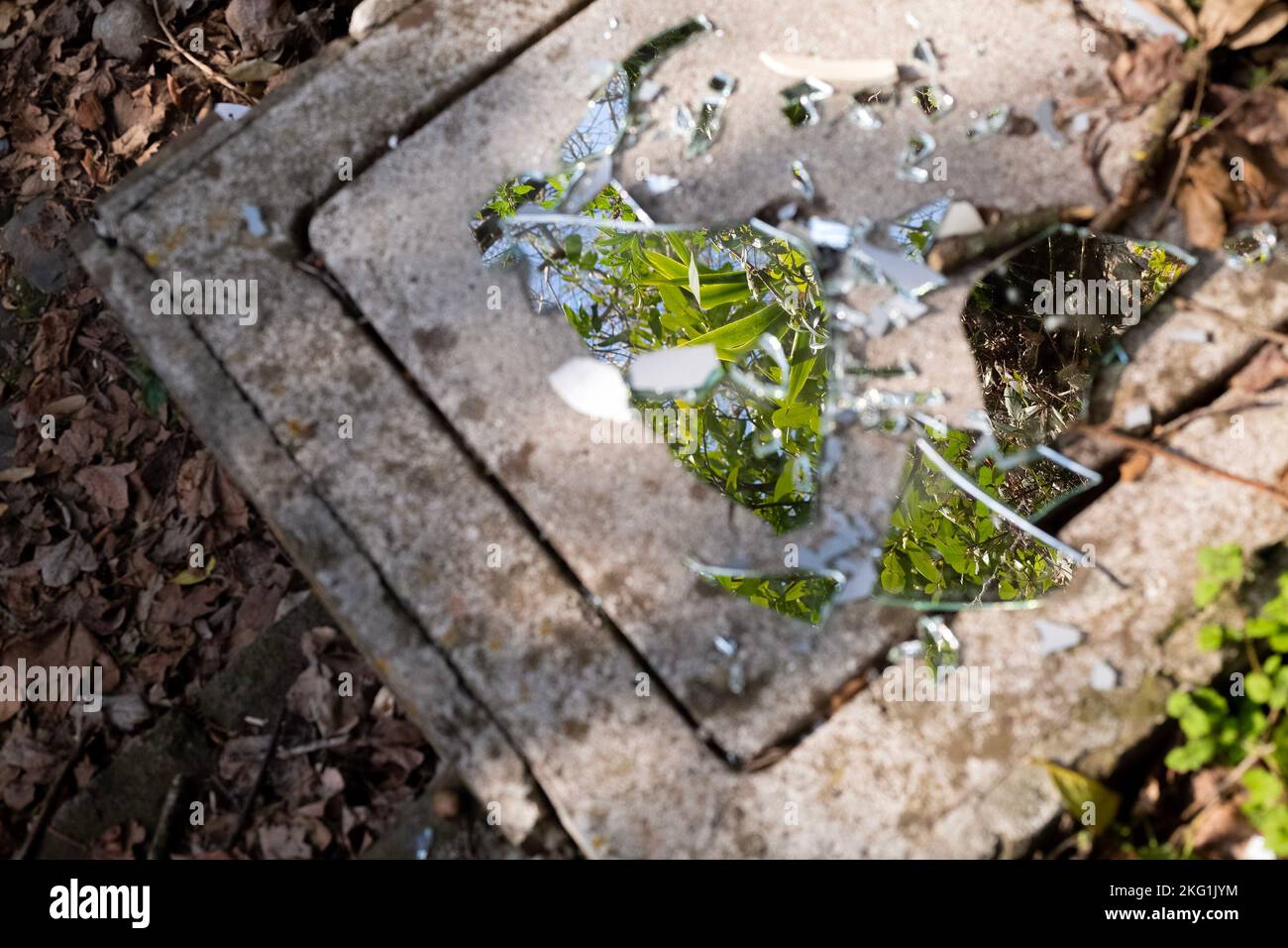 Many pieces of Brocken mirror on grey concrete slab. Green trees ...