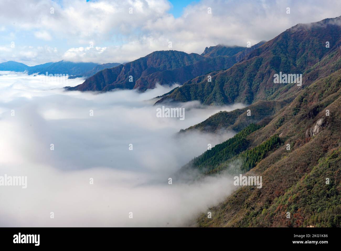 Aerial photos show the splendid views of Tianhu Naitonal Wetland Park ...