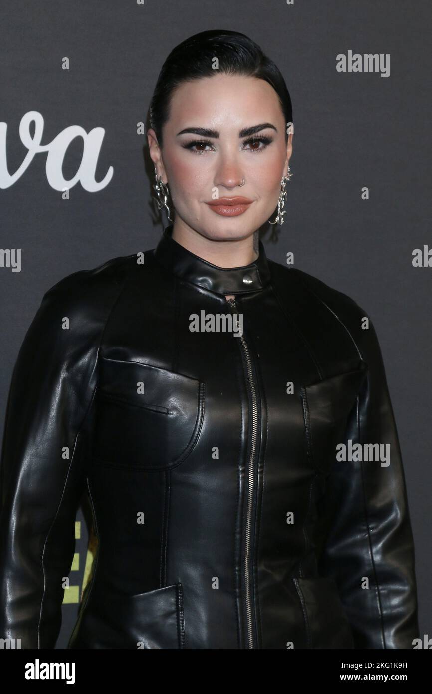 LOS ANGELES - NOV 20: Demi Lovato at The Walking Dead Finale at Orpheum ...