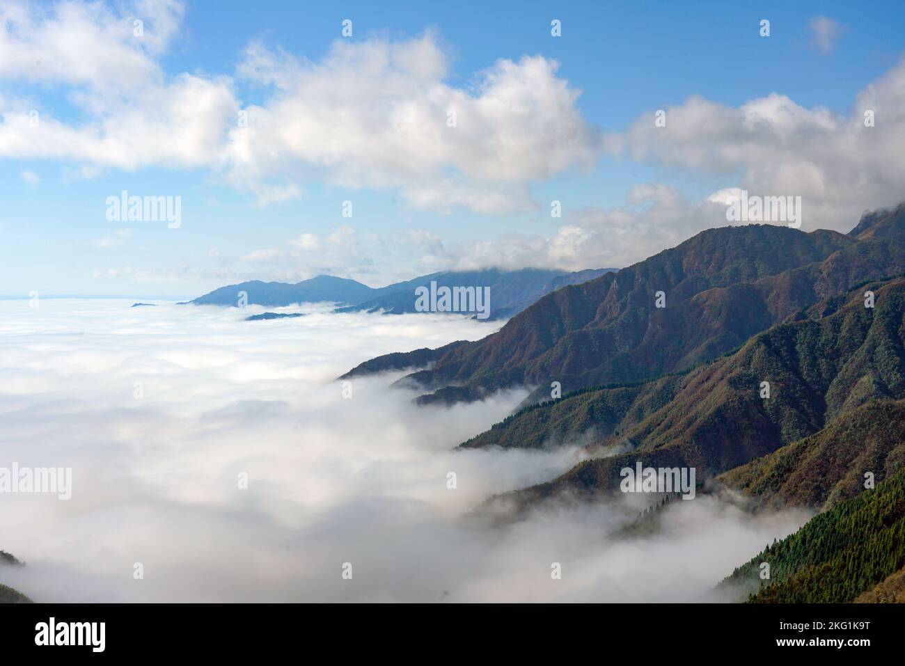Aerial photos show the splendid views of Tianhu Naitonal Wetland Park ...