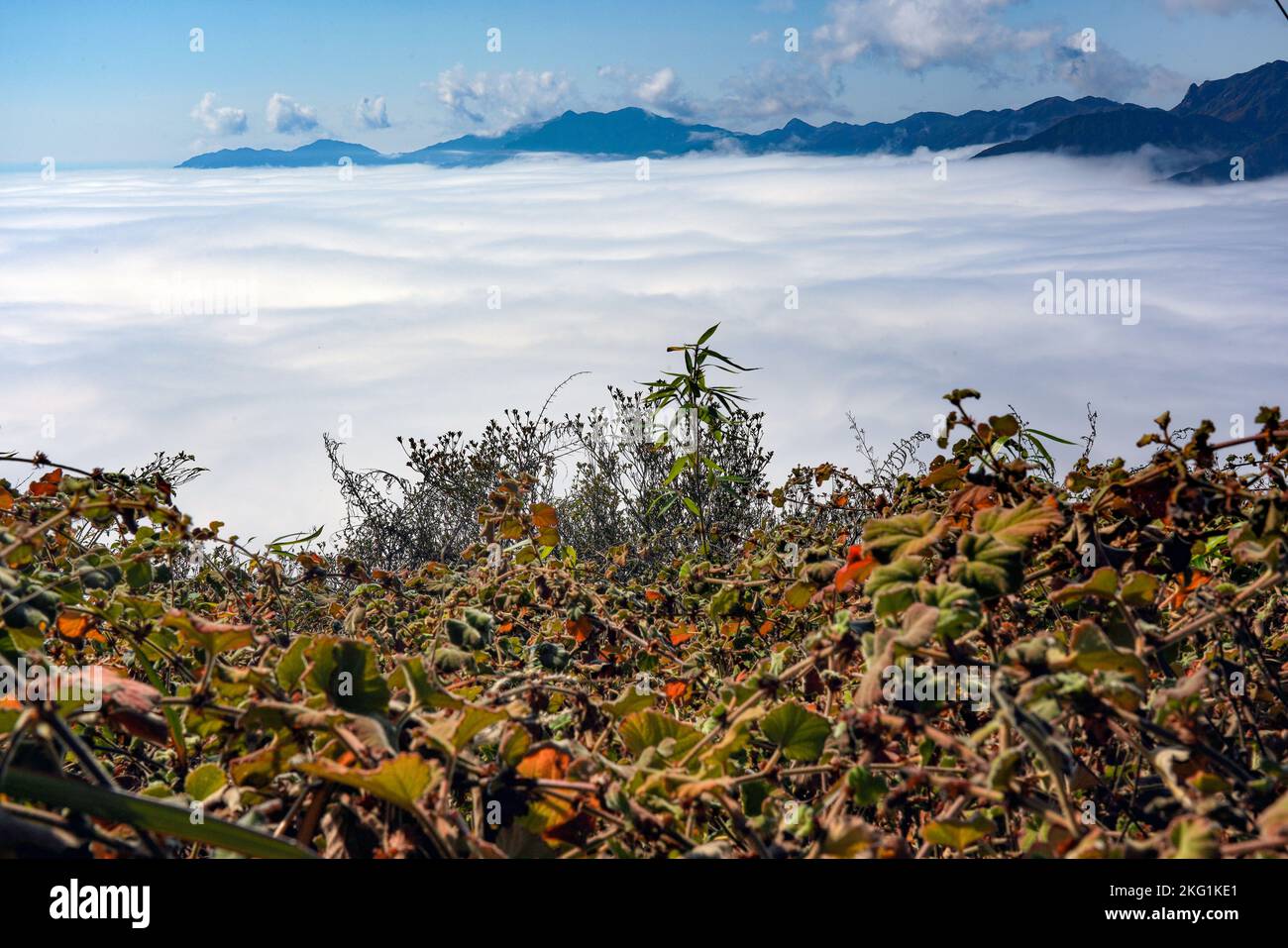 Aerial photos show the splendid views of Tianhu Naitonal Wetland Park ...