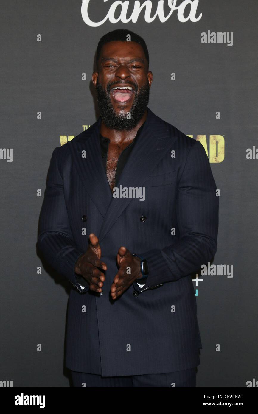 LOS ANGELES - NOV 20: Michael James Shaw at The Walking Dead Finale at ...