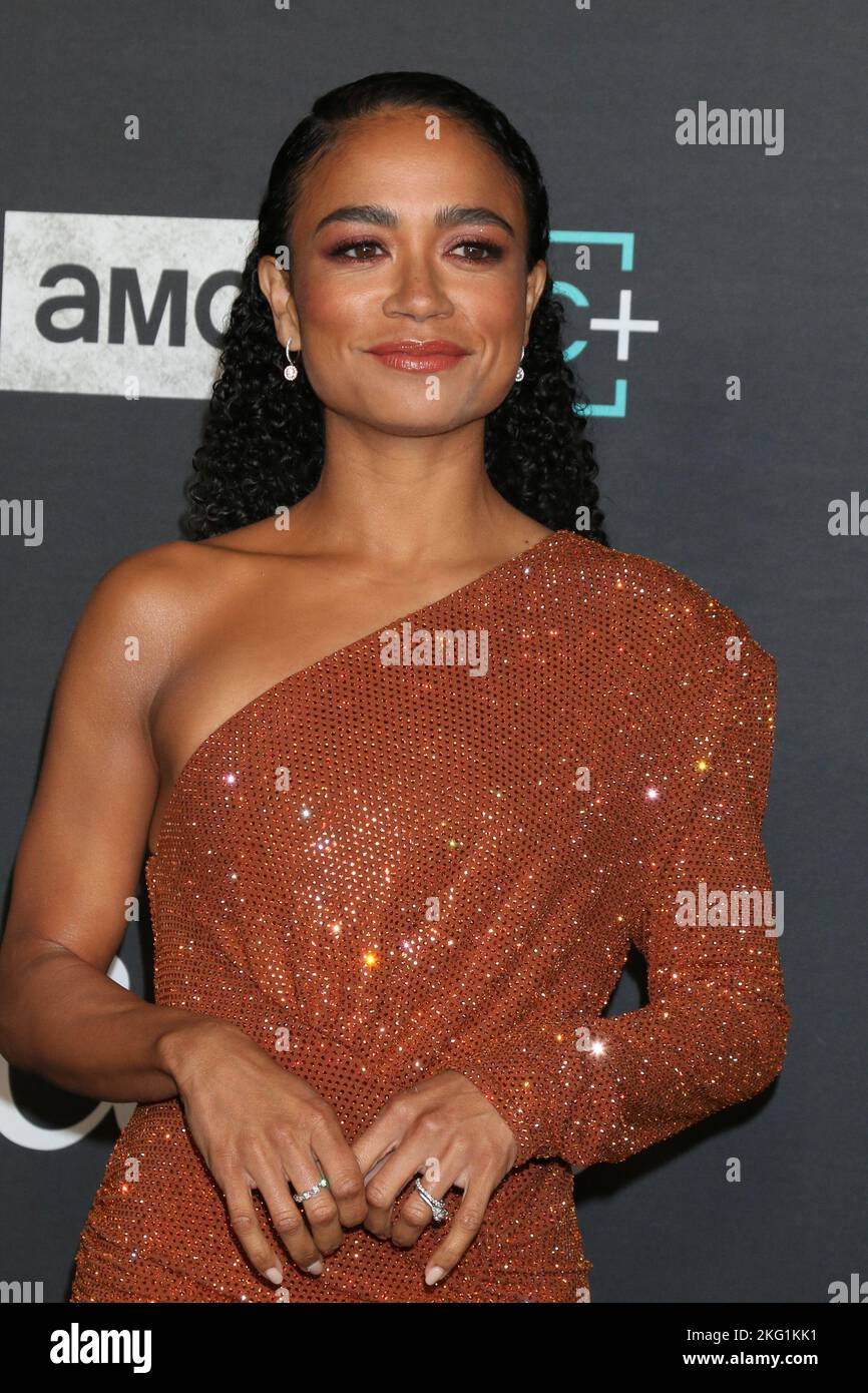 LOS ANGELES - NOV 20: Lauren Ridloff at The Walking Dead Finale at ...