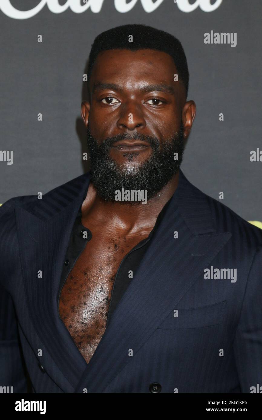 LOS ANGELES - NOV 20: Michael James Shaw at The Walking Dead Finale at ...