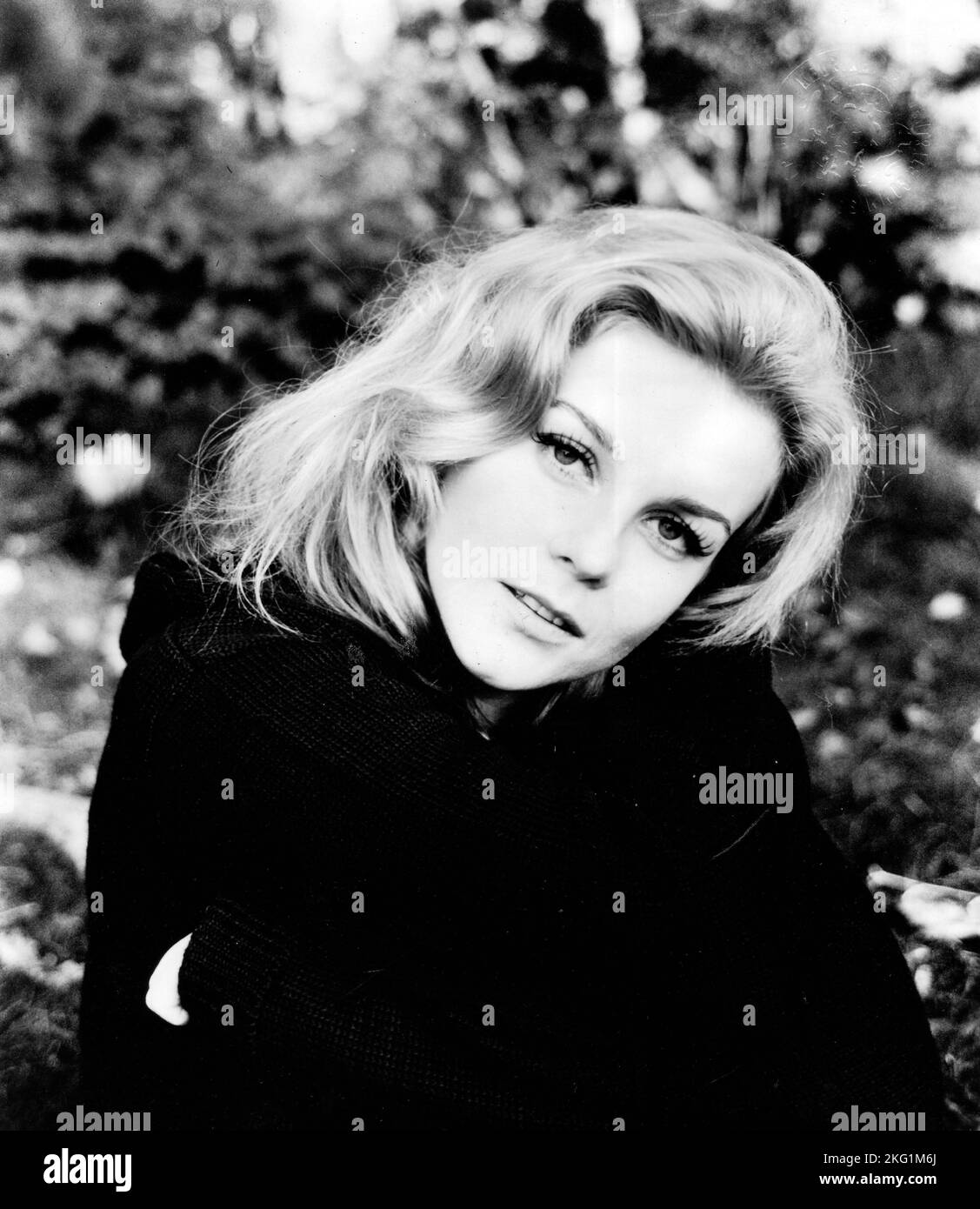 Ann Margret Carnal Knowledge