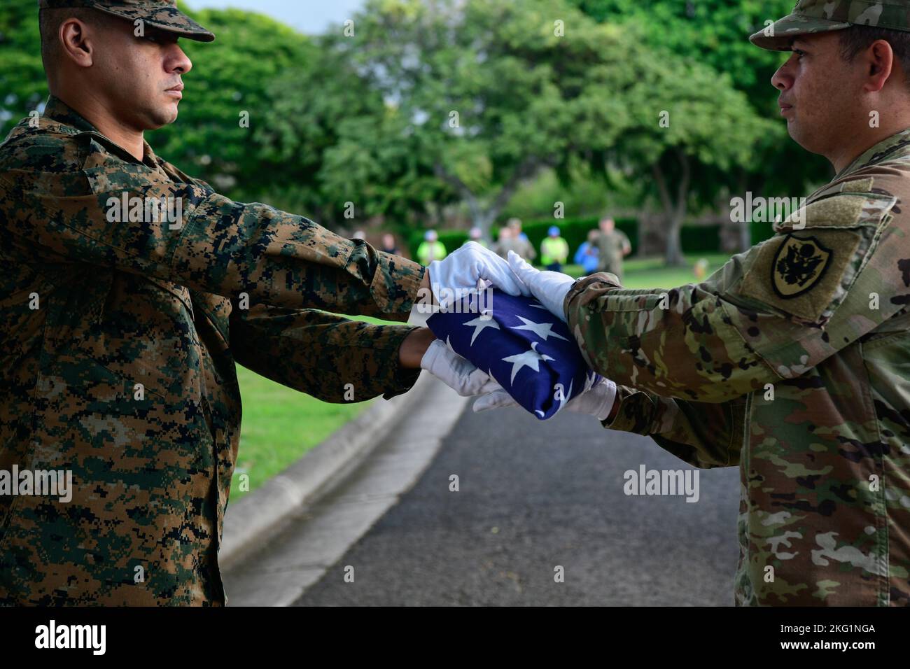 Members of the Defense POW/MIA Accounting Agency (DPAA) participate in ...