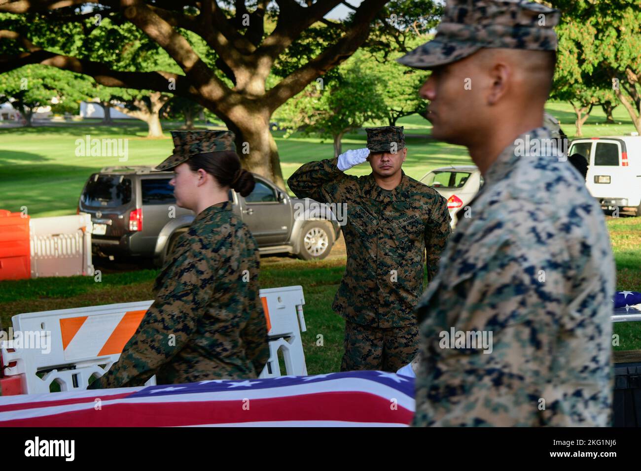 Members of the Defense POW/MIA Accounting Agency (DPAA) participate in ...