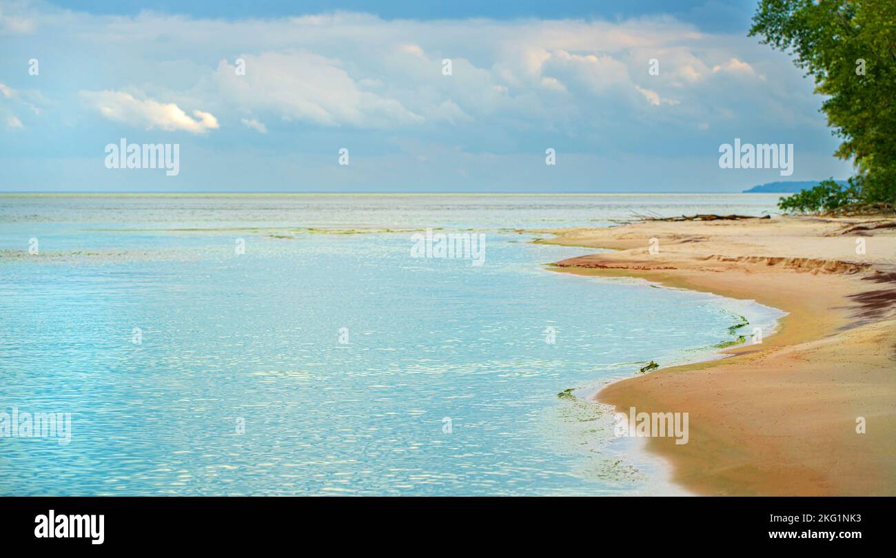 landscape, sandy beach with trees and water, coastline Stock Photo - Alamy