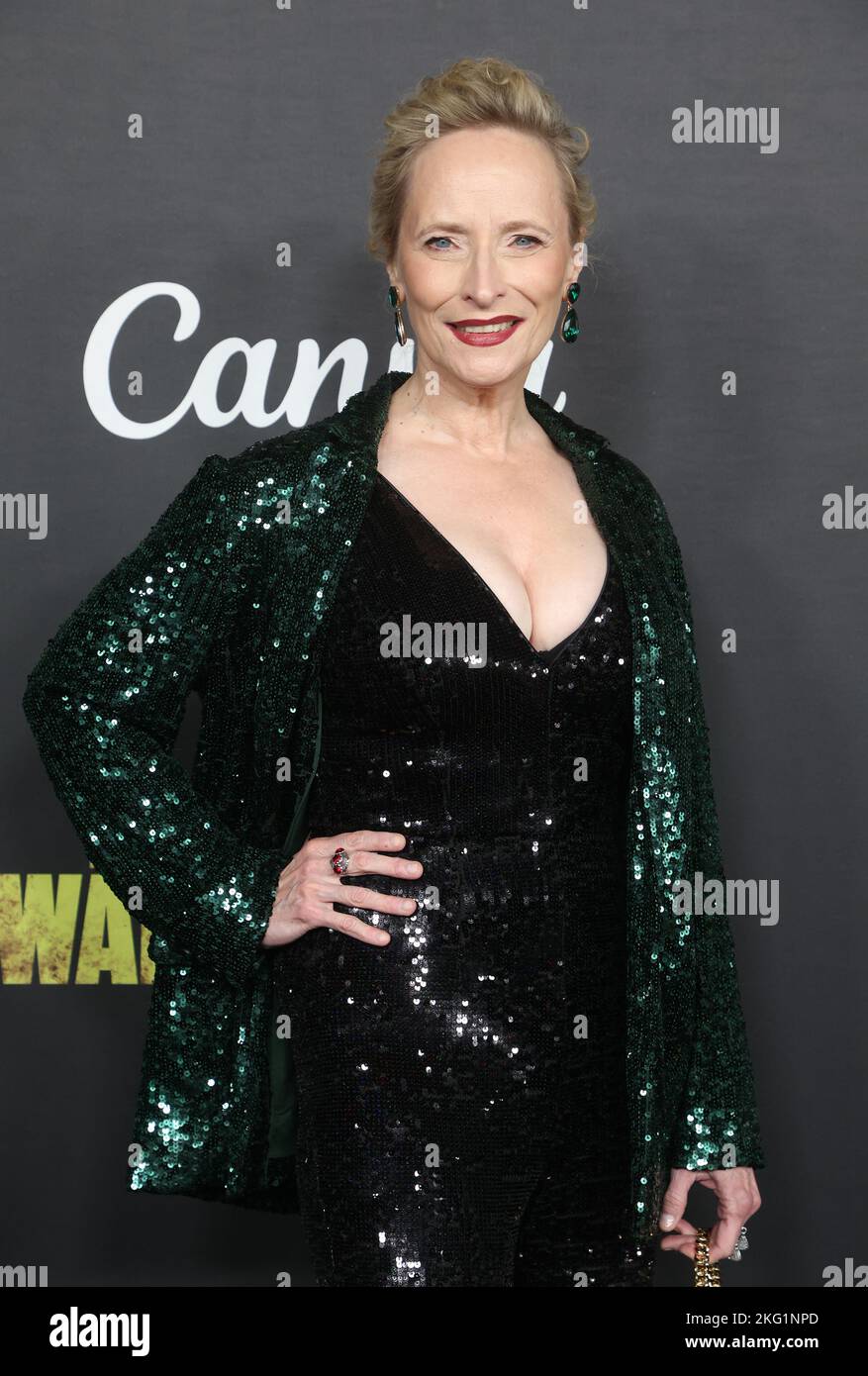 Los Angeles, Ca. 20th Nov, 2022. Laila Robins at The Walking Dead Live ...