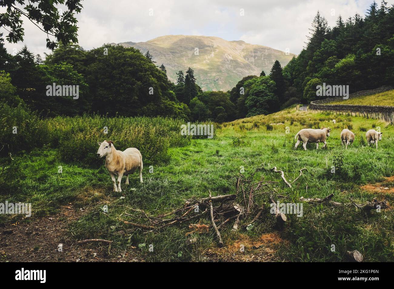Camping by Ulswater Lake in Lake District, Cumbria. First camping ...