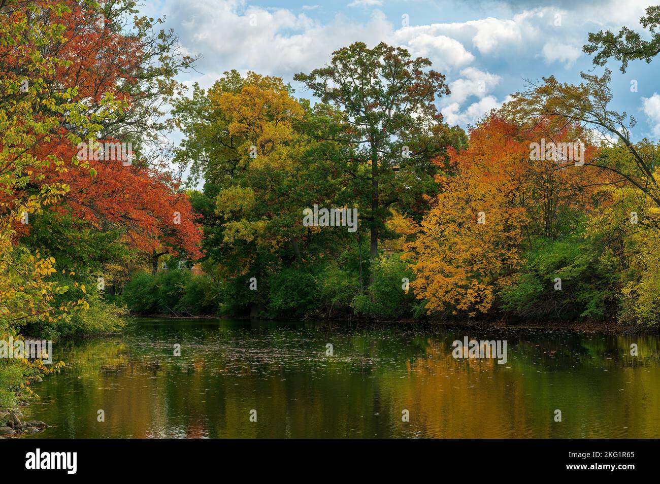Colorful autumnal shoreline of the Red Cedar River in Michigan Stock ...