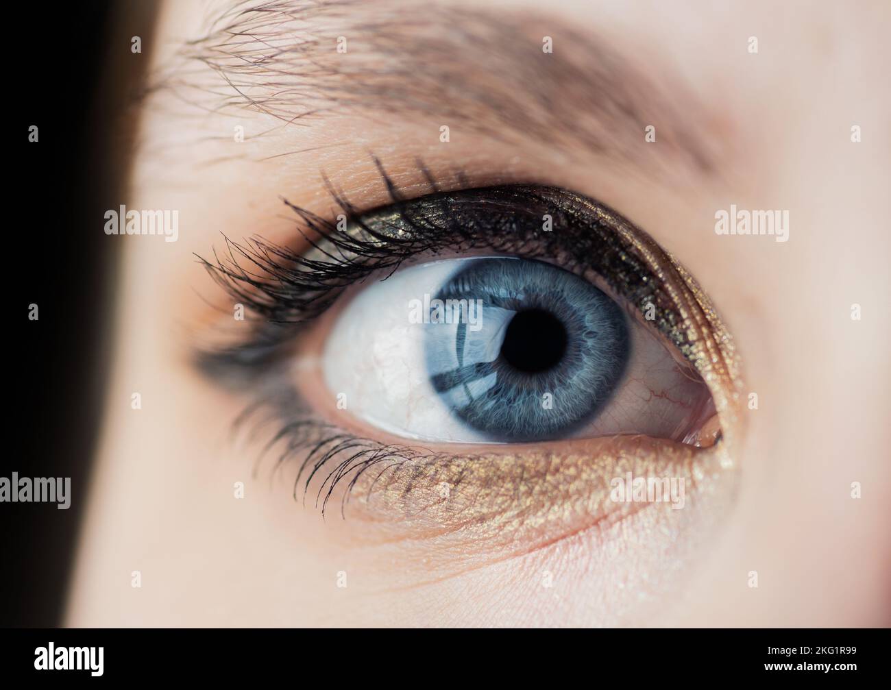 Blue iris eye hi-res stock photography and images - Alamy