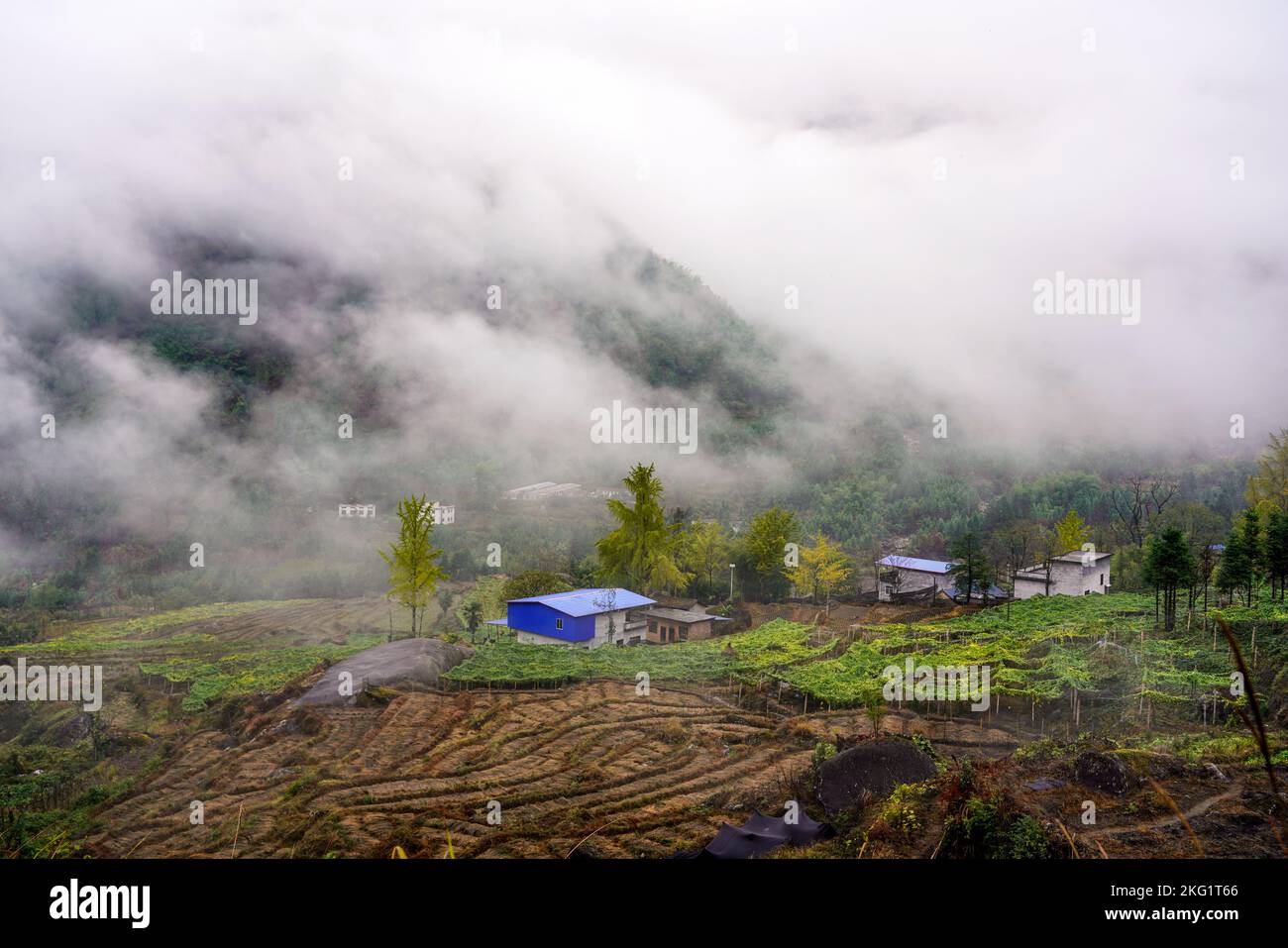 Aerial photos show the splendid views of Tianhu Naitonal Wetland Park ...
