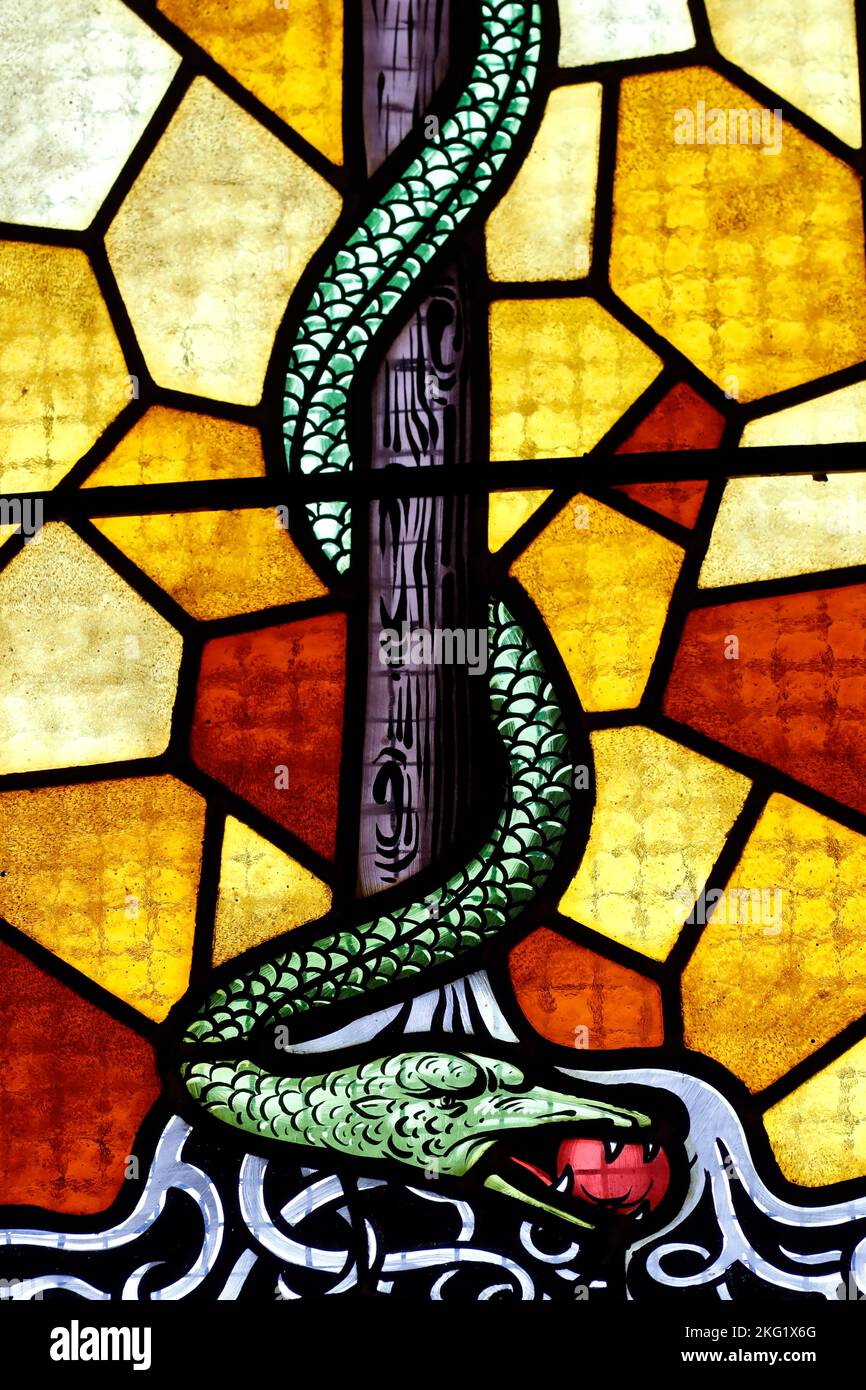 Stained glass window. The snake and the forbidden fruit. Old testament ...