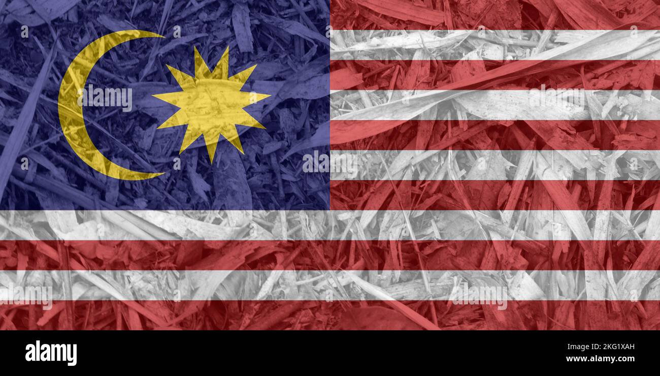 malaysian flag texture as background Stock Photo - Alamy