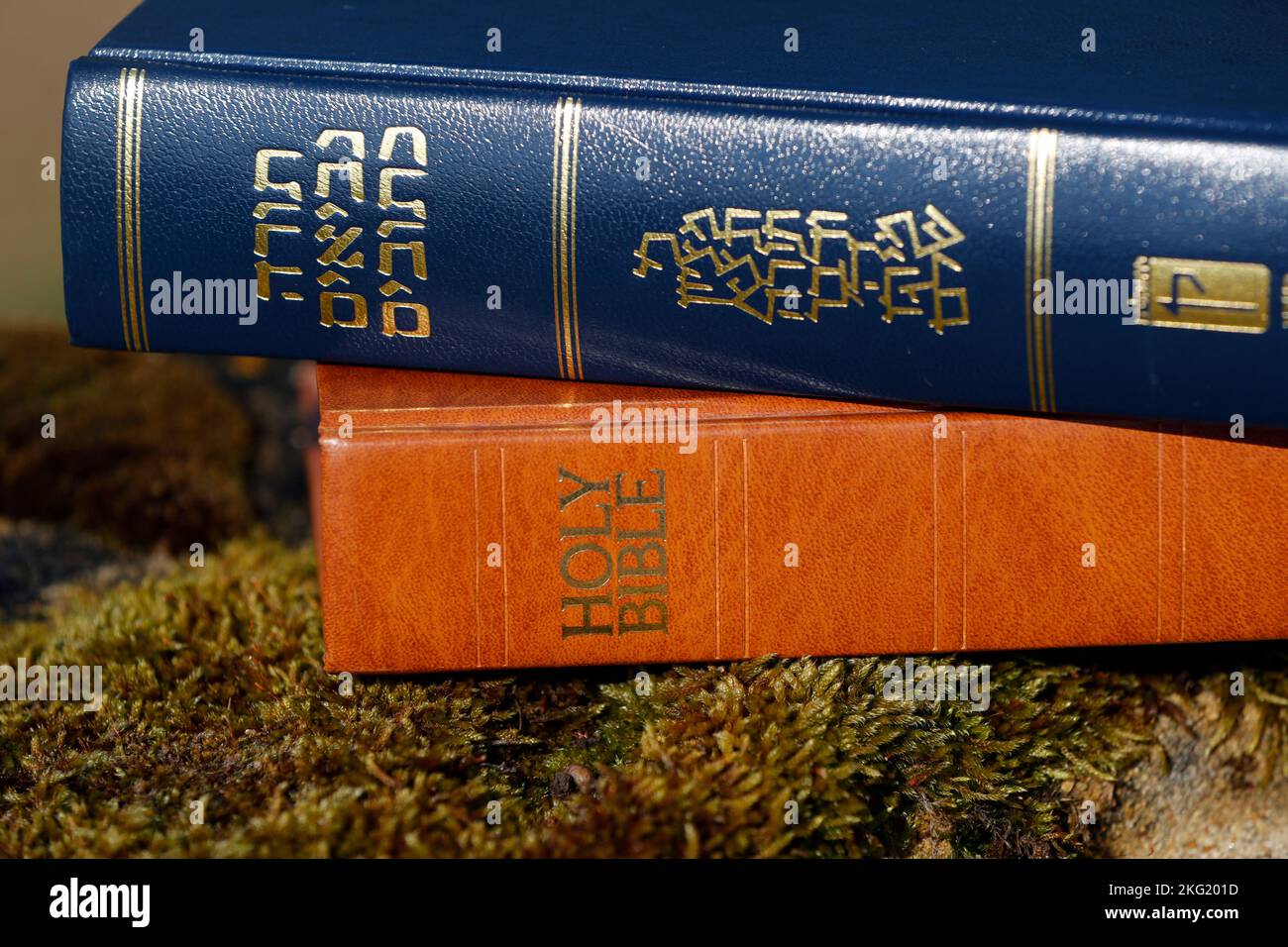 Holy bible and Thorah on a rock with moss. Interreligious or interfaith ...