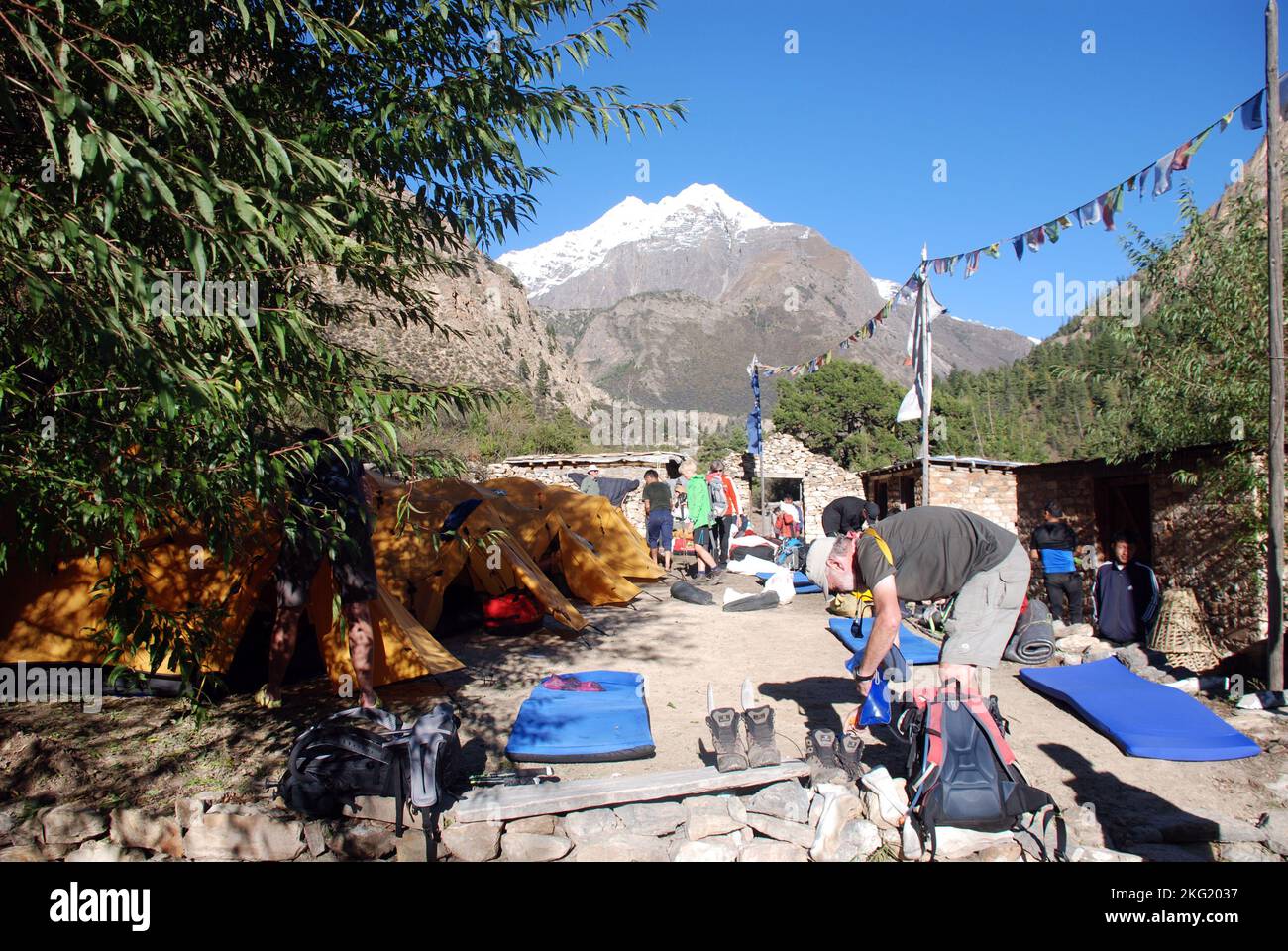 trekkers establishing their camp in shey phoksundo national park Nepal ...